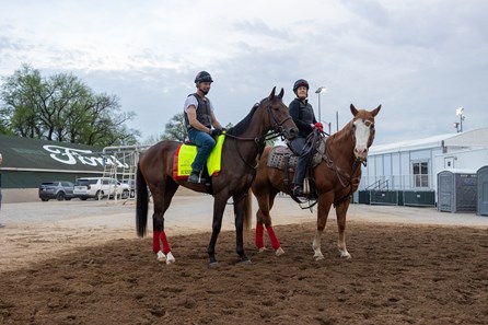 Burnham Square - Horse Profile - BloodHorse