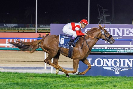 Danon Decile (JPN) - Horse Profile - BloodHorse