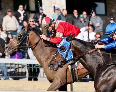 Burnham Square - Horse Profile - BloodHorse