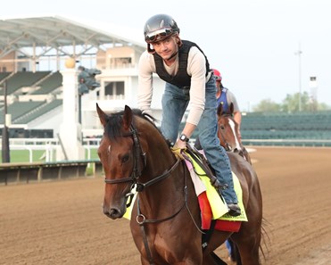 Burnham Square - Horse Profile - BloodHorse