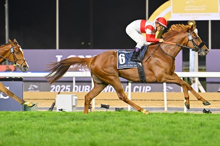 Danon Decile (JPN) - Horse Profile - BloodHorse
