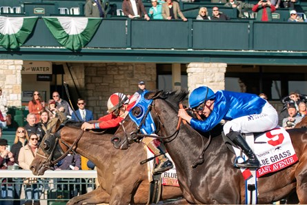 Burnham Square - Horse Profile - BloodHorse