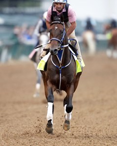 Render Judgment - Horse Profile - BloodHorse