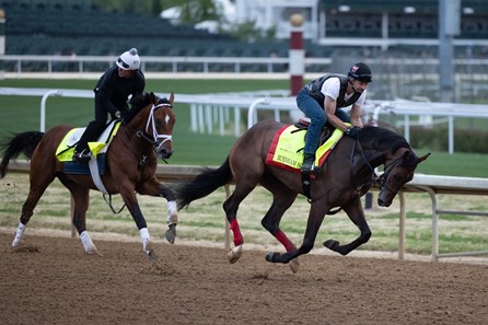 Burnham Square - Horse Profile - BloodHorse