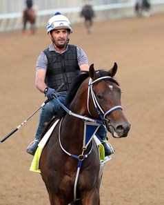 Render Judgment - Horse Profile - BloodHorse