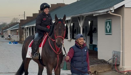 Coal Battle - Horse Profile - BloodHorse