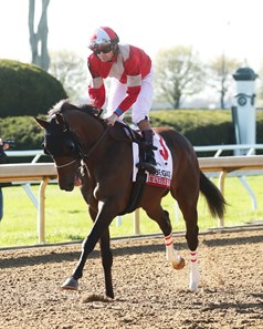 Burnham Square - Horse Profile - BloodHorse