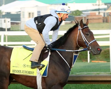 Render Judgment - Horse Profile - BloodHorse