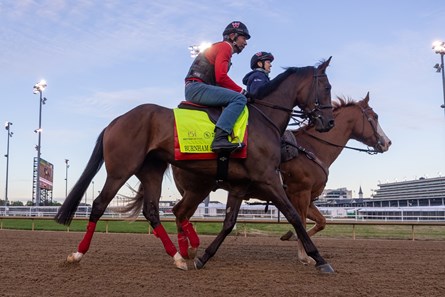 Burnham Square - Horse Profile - BloodHorse