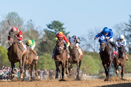 Burnham Square - Horse Profile - BloodHorse