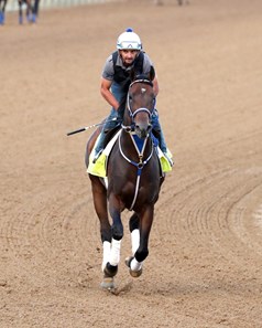 Render Judgment - Horse Profile - BloodHorse