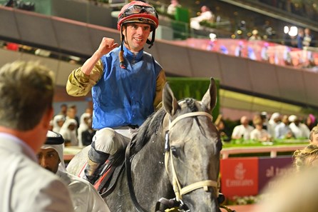 Hit Show - Horse Profile - BloodHorse
