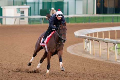 Kentucky Oaks Cheat Sheet Provides Notes on Each Runner - BloodHorse