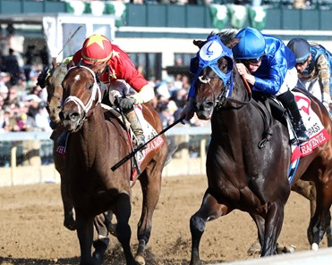 Burnham Square - Horse Profile - BloodHorse
