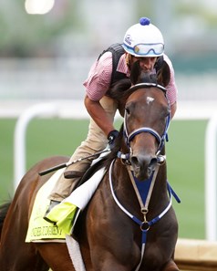 Render Judgment - Horse Profile - BloodHorse