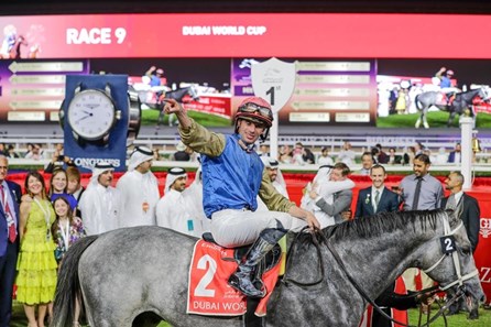 Hit Show - Horse Profile - BloodHorse