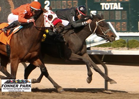 They Call Me Moose Gives Sire First Winner - BloodHorse