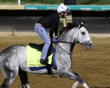 Final Gambit - Horse Profile - BloodHorse
