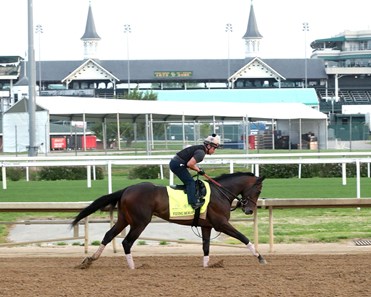 Flying Mohawk - Horse Profile - BloodHorse