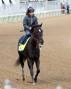 Rodriguez - Horse Profile - BloodHorse