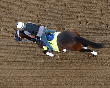 Render Judgment - Horse Profile - BloodHorse