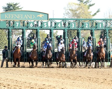 Burnham Square - Horse Profile - BloodHorse