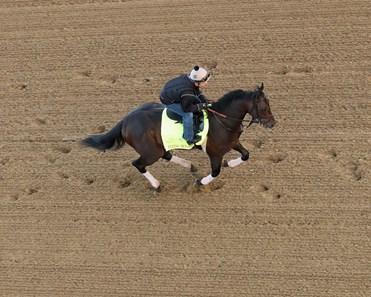 Flying Mohawk - Horse Profile - BloodHorse