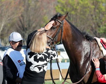 Burnham Square - Horse Profile - BloodHorse
