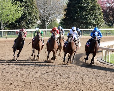 Burnham Square - Horse Profile - BloodHorse