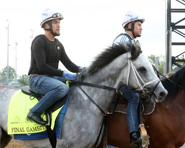 Final Gambit - Horse Profile - BloodHorse