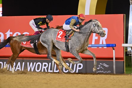Hit Show - Horse Profile - BloodHorse