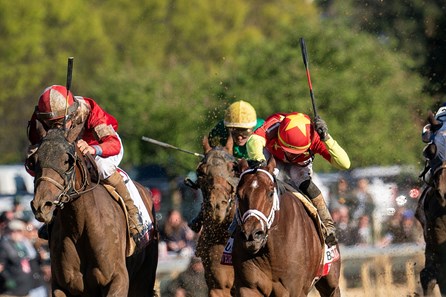 Burnham Square - Horse Profile - BloodHorse