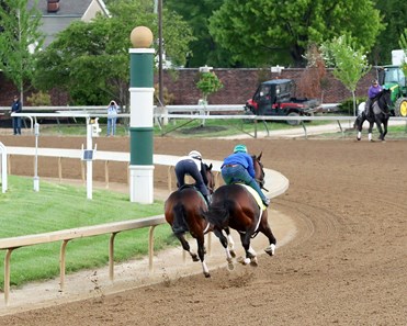 Sovereignty - Horse Profile - BloodHorse
