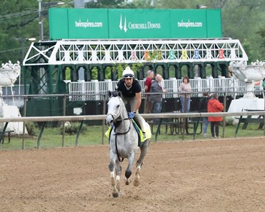 Final Gambit - Horse Profile - BloodHorse
