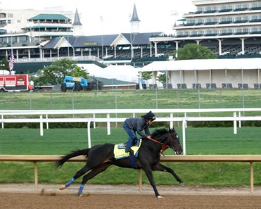 Rodriguez - Horse Profile - BloodHorse