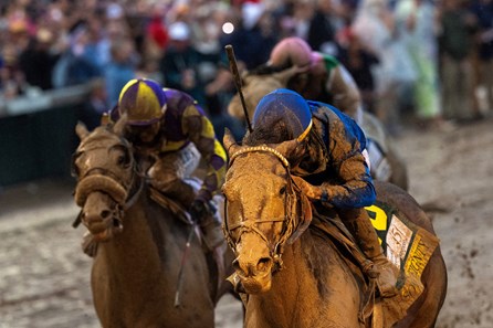 Sovereignty - Horse Profile - BloodHorse