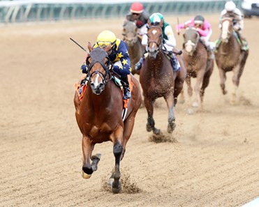 Fact - Horse Profile - BloodHorse