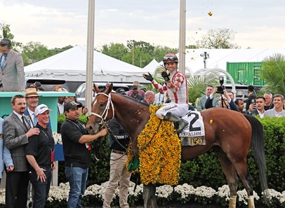 Journalism - Horse Profile - BloodHorse