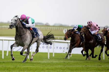 Field of Gold (IRE) - Horse Profile - BloodHorse