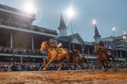 Sovereignty - Horse Profile - BloodHorse