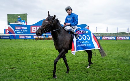 Ruling Court - Horse Profile - BloodHorse