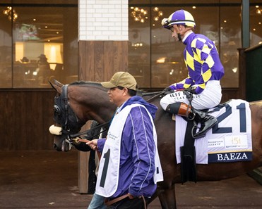 Baeza - Horse Profile - BloodHorse