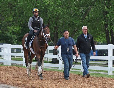 River Thames - Horse Profile - BloodHorse