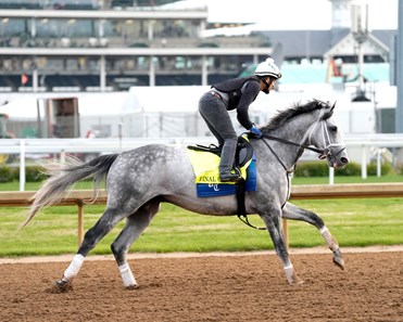 Final Gambit - Horse Profile - BloodHorse