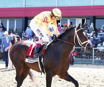 Crudo - Horse Profile - BloodHorse