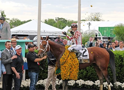 Journalism - Horse Profile - BloodHorse