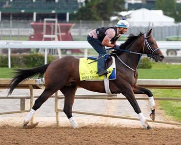 Render Judgment - Horse Profile - BloodHorse
