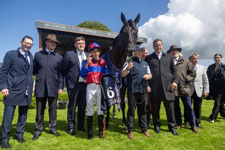 Los Angeles (IRE) - Horse Profile - BloodHorse