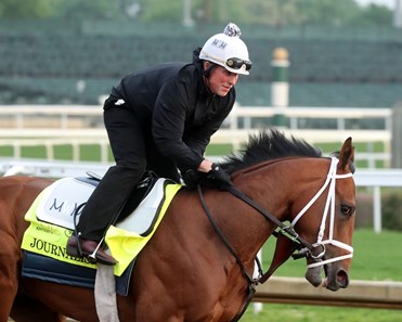 Journalism - Horse Profile - BloodHorse