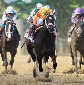 Crudo - Horse Profile - BloodHorse